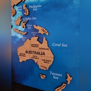 Art | Push Pin Wall Map | Poshmark